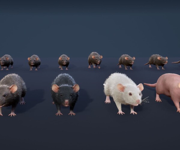 ArtStation - Mouse with Fur Rigged | Game Assets