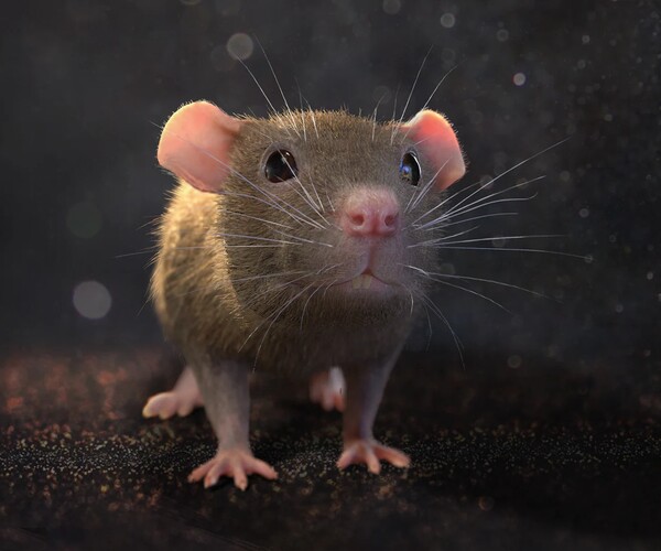 ArtStation - Mouse with Fur Rigged | Game Assets