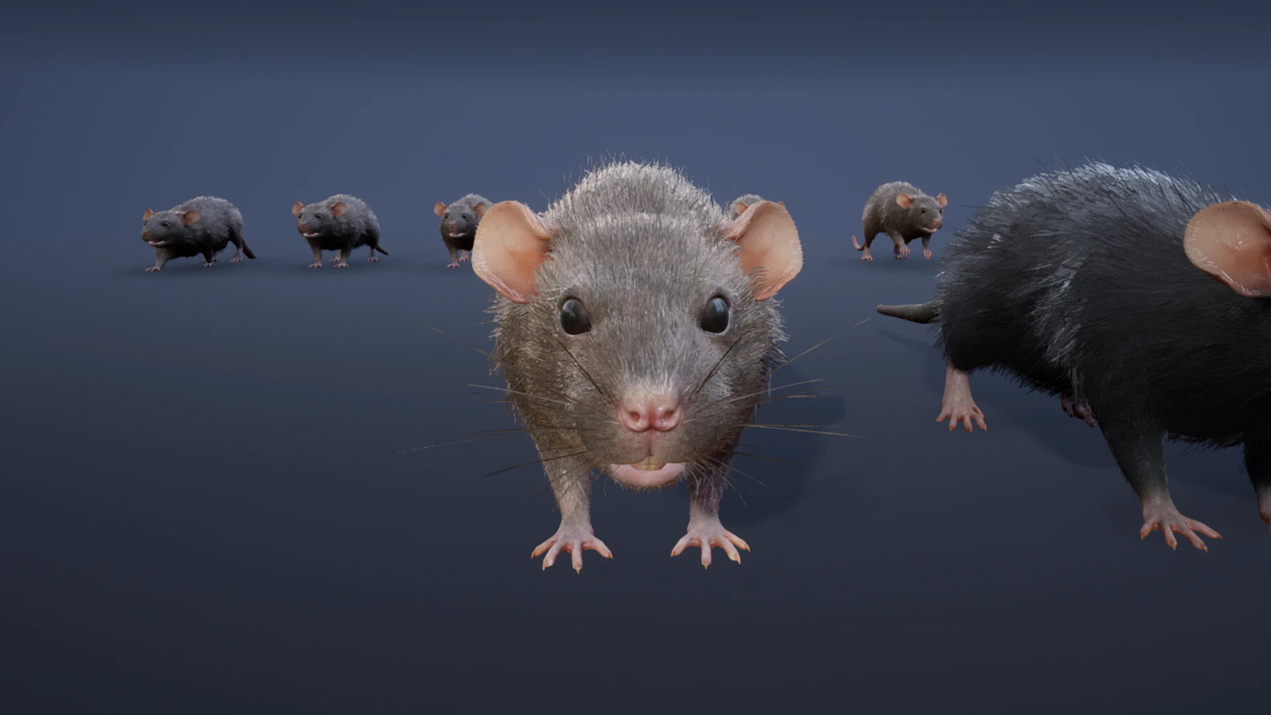 ArtStation - Mouse with Fur Rigged | Game Assets