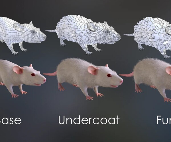 ArtStation - Mouse with Fur Rigged | Game Assets