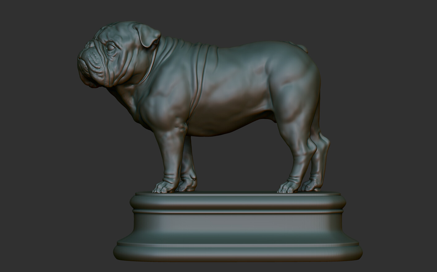 ArtStation - English Bulldog | Resources