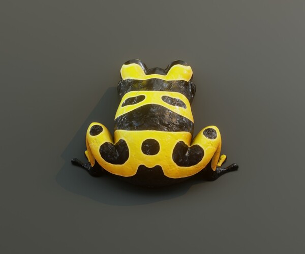 ArtStation - Cartoon Yellow-banded Frog with Facial Expressions and 12 ...