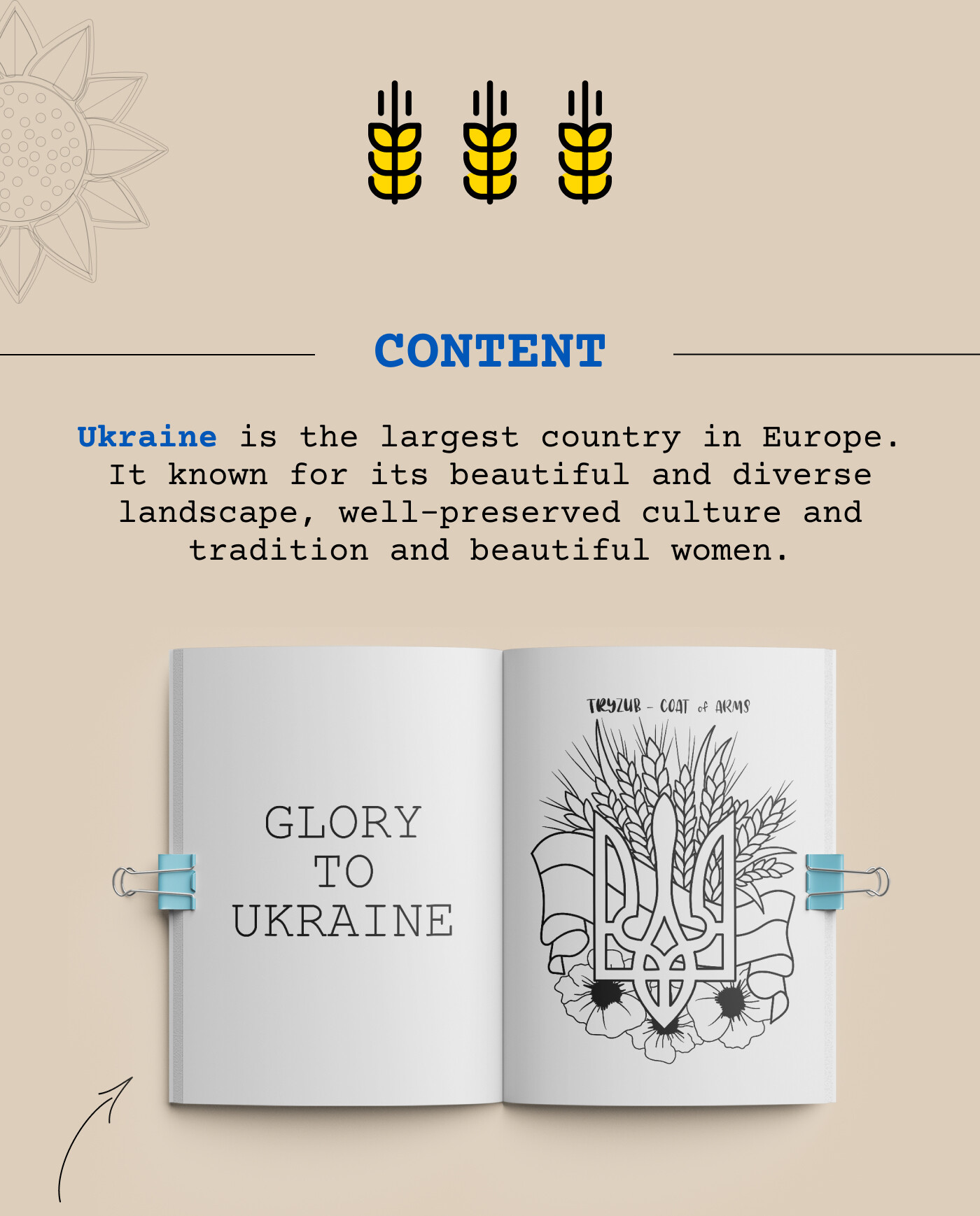 ArtStation - Coloring book: Ukraine | Books & Comics