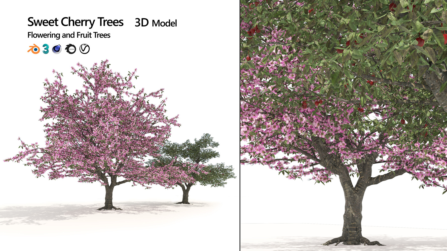 ArtStation - Blossom and fruit cherry trees | Game Assets
