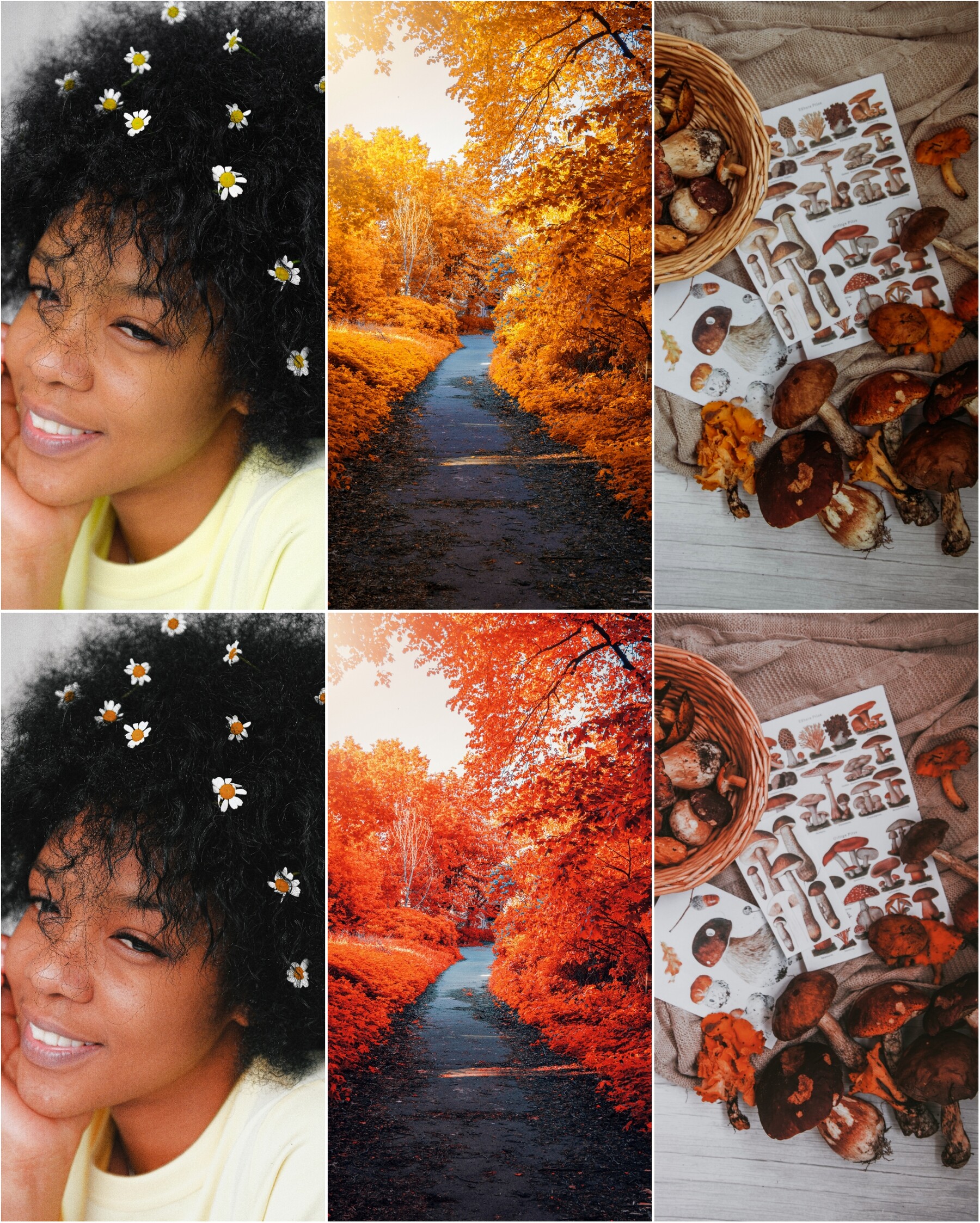 ArtStation - 10 Autumn Lightroom Mobile & Desktop Preset | Artworks