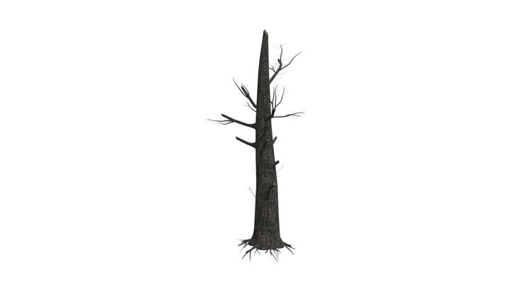 ArtStation - Burnt Tree #01 - High Poly Tree (3D Model) | Game Assets