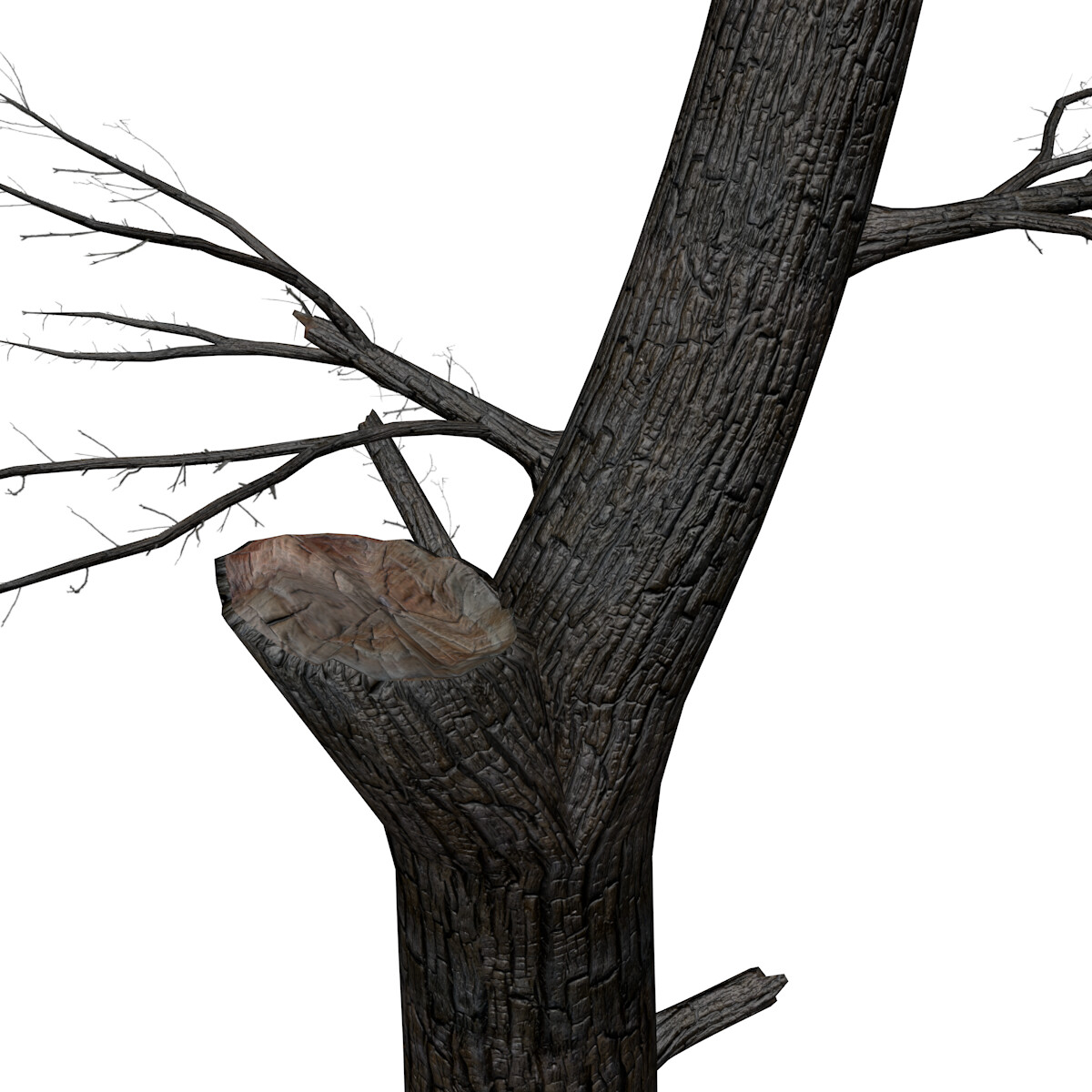 ArtStation - Burnt Tree #04 - High Poly Tree (3D Model) | Game Assets