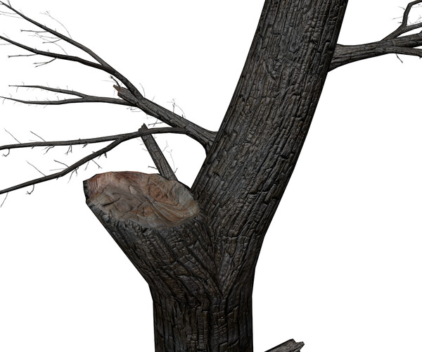 ArtStation - Burnt Tree #04 - High Poly Tree (3D Model) | Game Assets