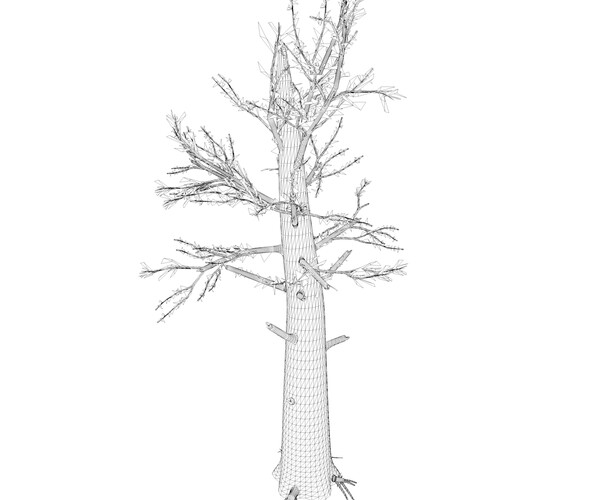 ArtStation - Burnt Tree #05 - High Poly Tree (3D Model) | Game Assets