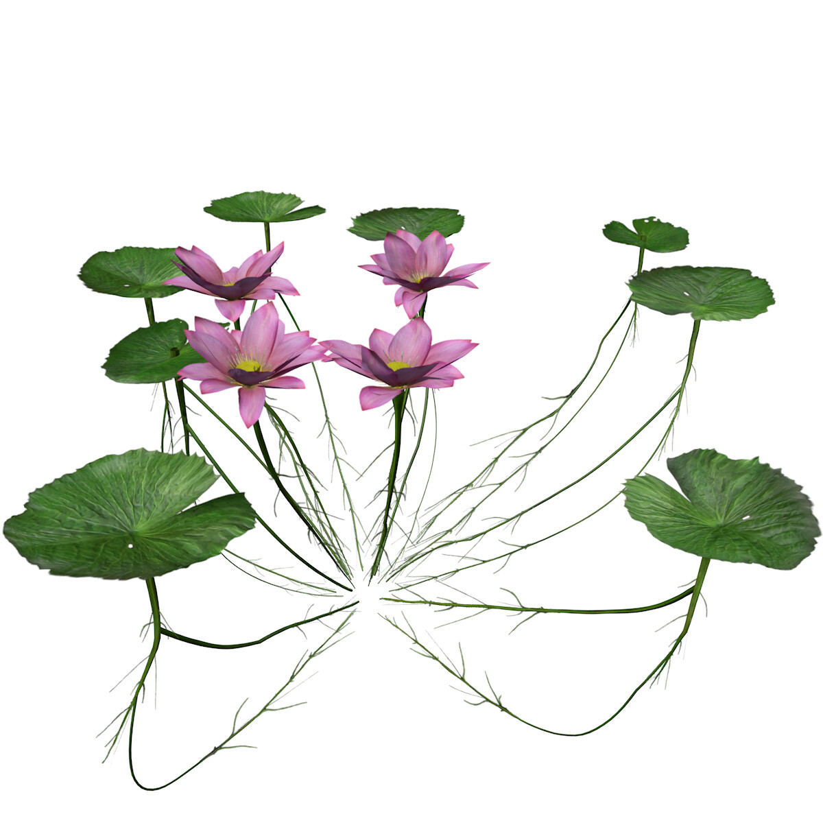 ArtStation - Lotus Flower #04 - High Poly Plant (3D Model) | Game Assets