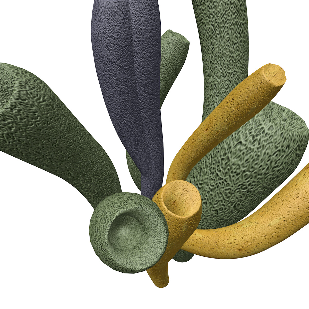 ArtStation - Tube Sponge #04 - High Poly Plant (3D Model) | Game Assets