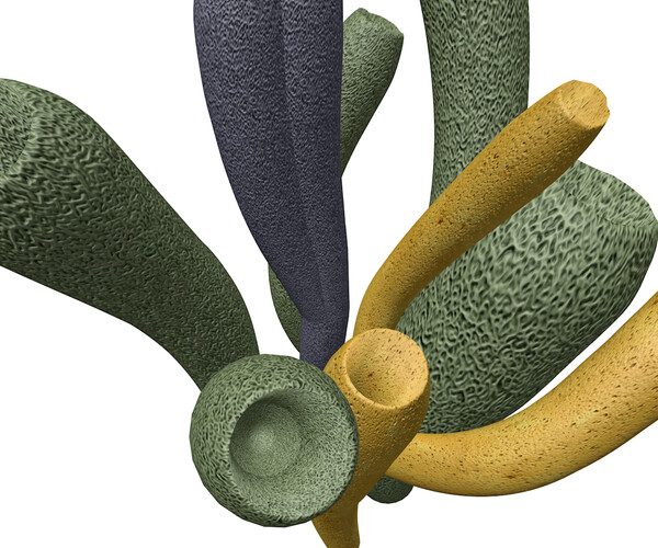 ArtStation - Tube Sponge #04 - High Poly Plant (3D Model) | Game Assets