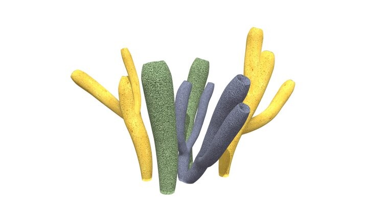 ArtStation - Tube Sponge #01 - High Poly Plant (3D Model) | Game Assets