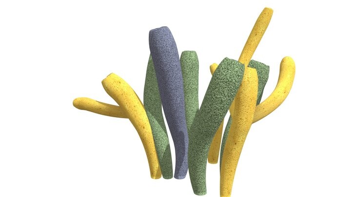 ArtStation - Tube Sponge #03 - High Poly Plant (3D Model) | Game Assets