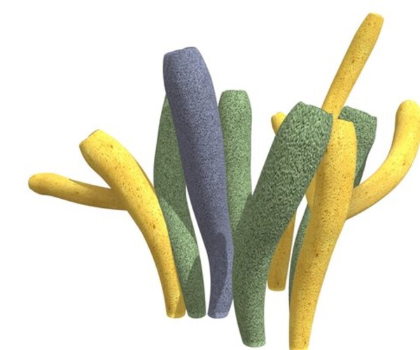 ArtStation - Tube Sponge #03 - High Poly Plant (3D Model) | Game Assets