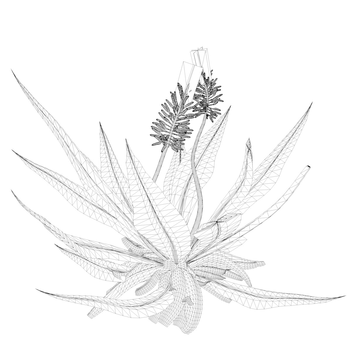 ArtStation - Aloe Vera #06 - High Poly Plant (3D Model) | Game Assets