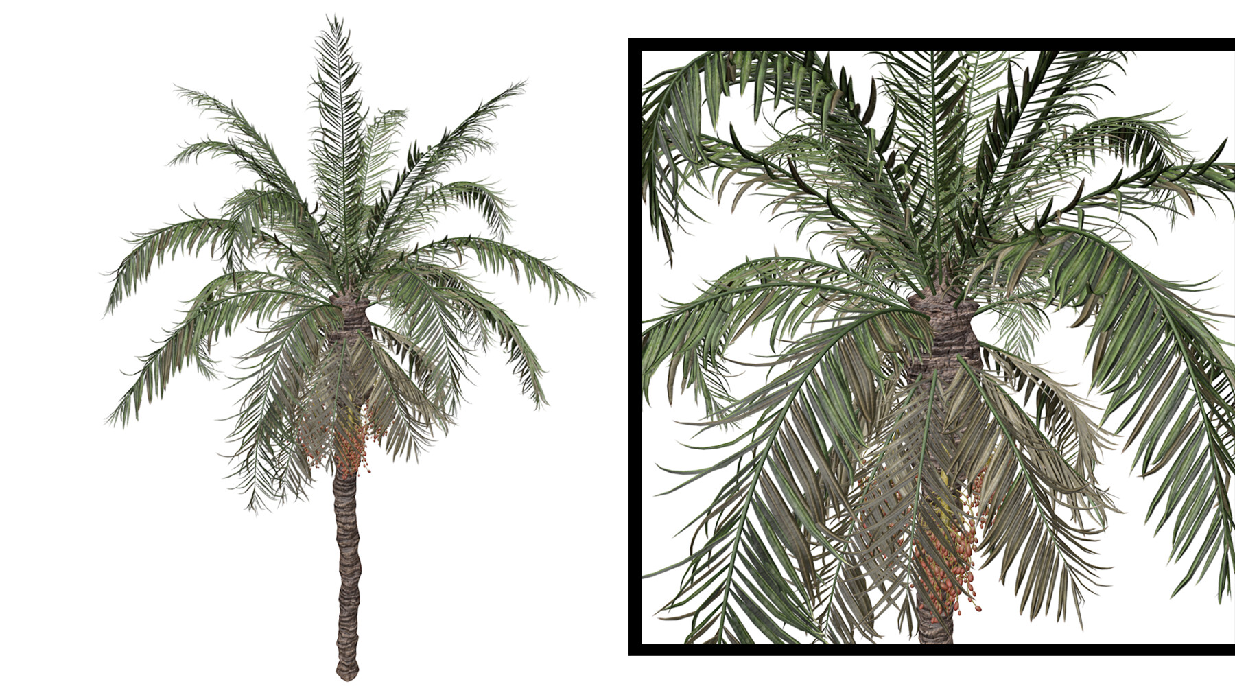 ArtStation - Date Palm #01 - High Poly Tree (3D Model) | Game Assets