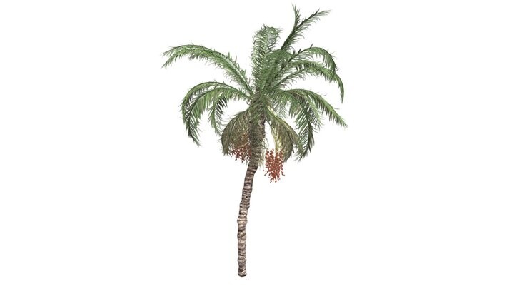 ArtStation - Date Palm #04 - High Poly Tree (3D Model) | Game Assets