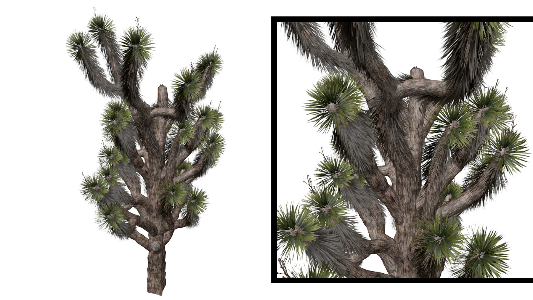 ArtStation - Joshua Tree #03 - High Poly Tree (3D Model) | Game Assets