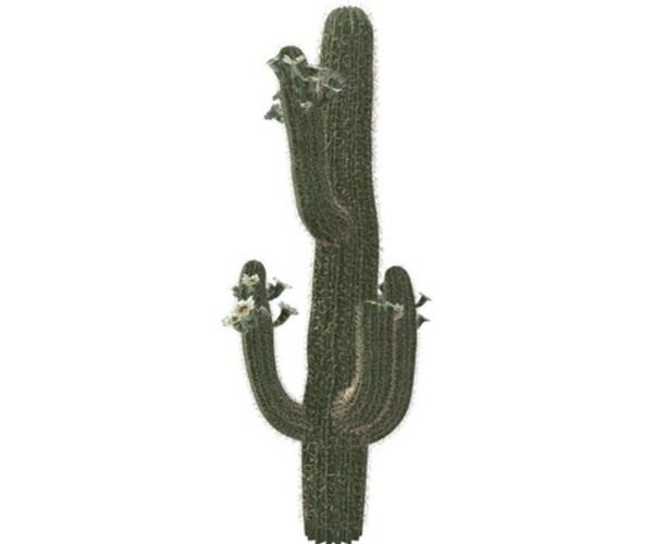ArtStation - Saguaro Cactus #06 - High Poly Plant (3D Model) | Game Assets