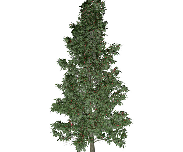 ArtStation - American Holly #06 - High Poly Tree (3D Model) | Game Assets