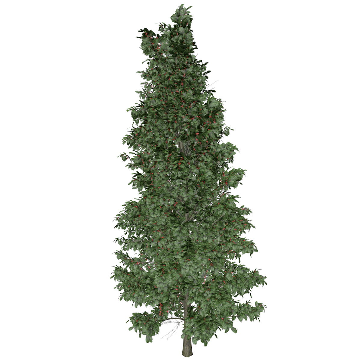 ArtStation - American Holly #10 - High Poly Tree (3D Model) | Game Assets