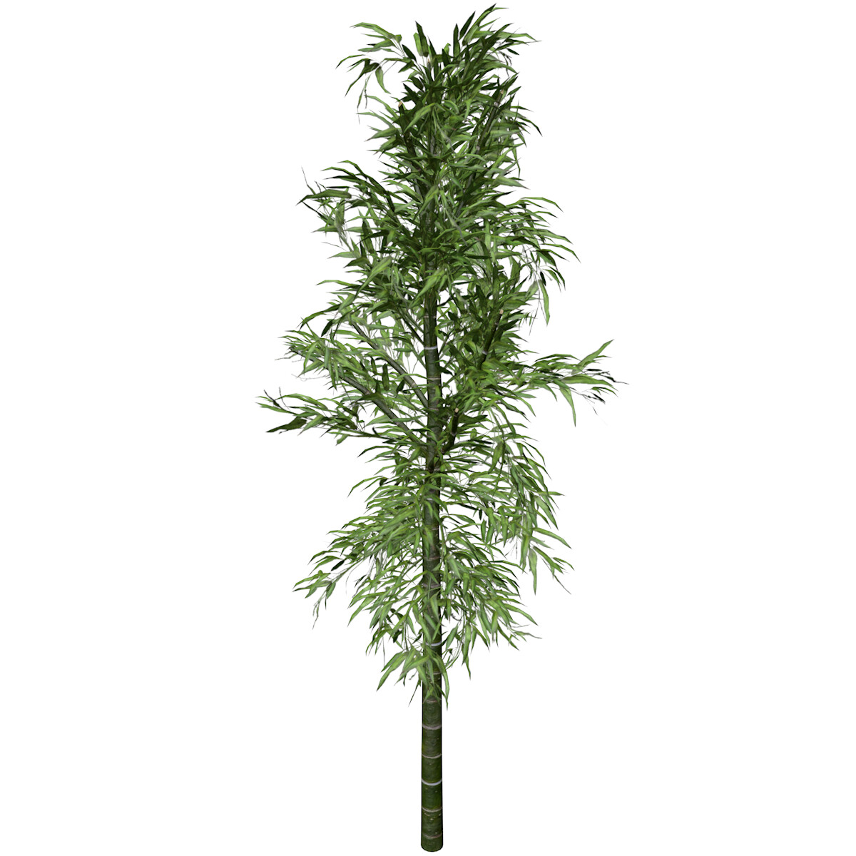 ArtStation - Bamboo Plant #07 - High Poly Plant (3D Model) | Game Assets