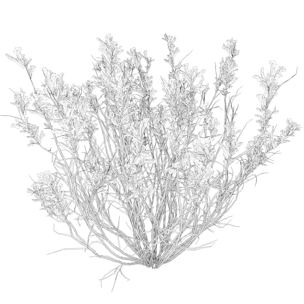 ArtStation - Broom Snakeweed (Flowers) #03 - High Poly Plant (3D Model ...