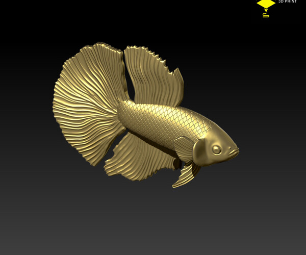 ArtStation - Betta Fish - Ready for 3D print | Resources