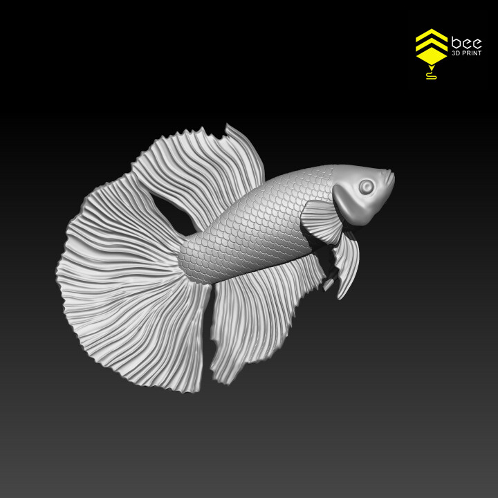 ArtStation - Betta Fish - Ready for 3D print | Resources