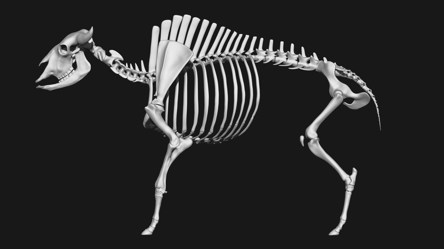 ArtStation - Bison skeleton | Resources