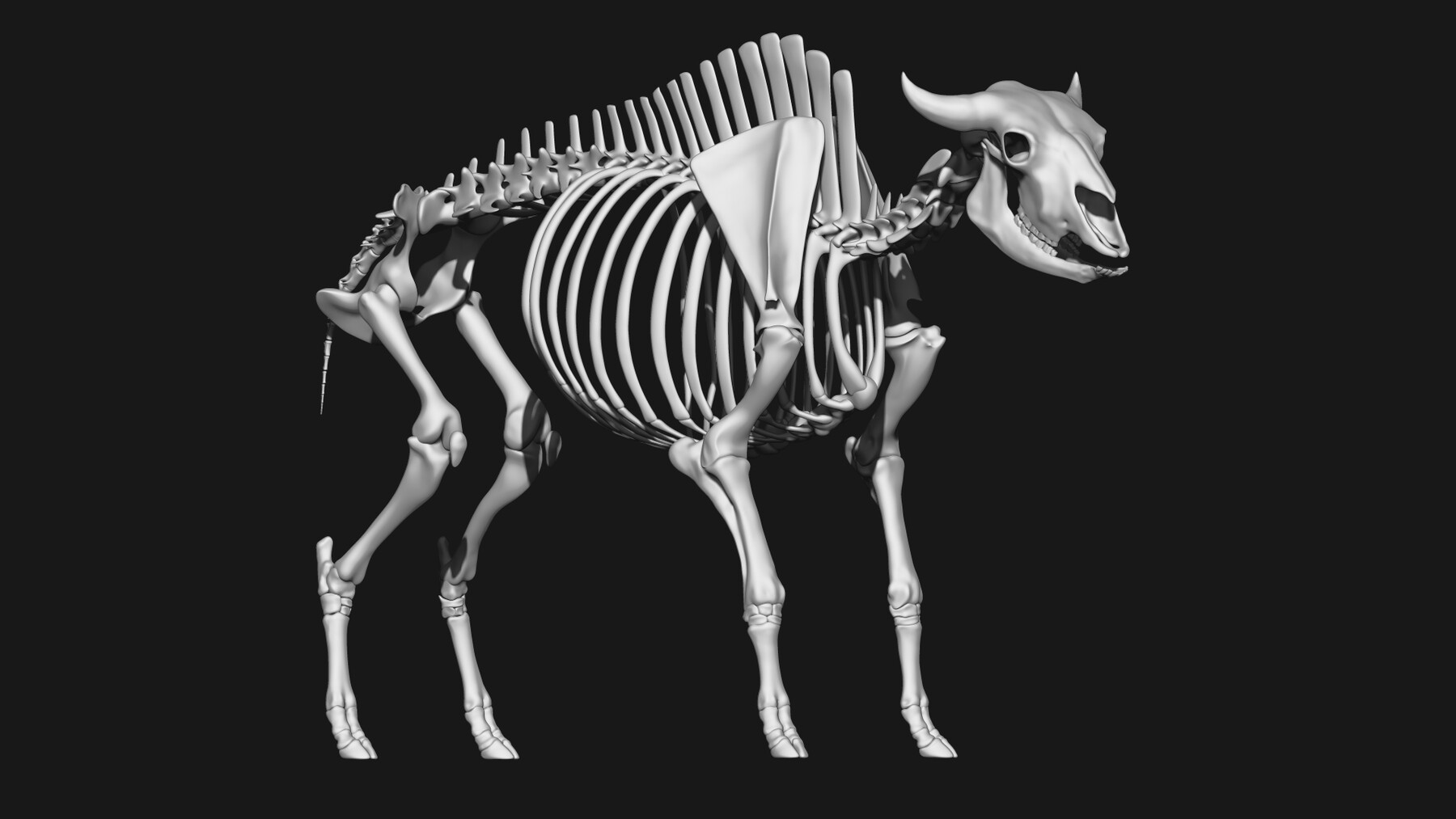 ArtStation - Bison skeleton | Resources