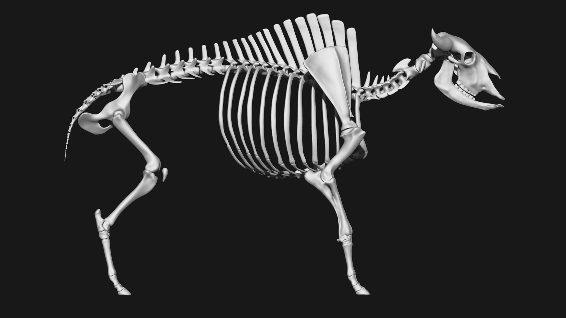 ArtStation - Bison skeleton | Resources