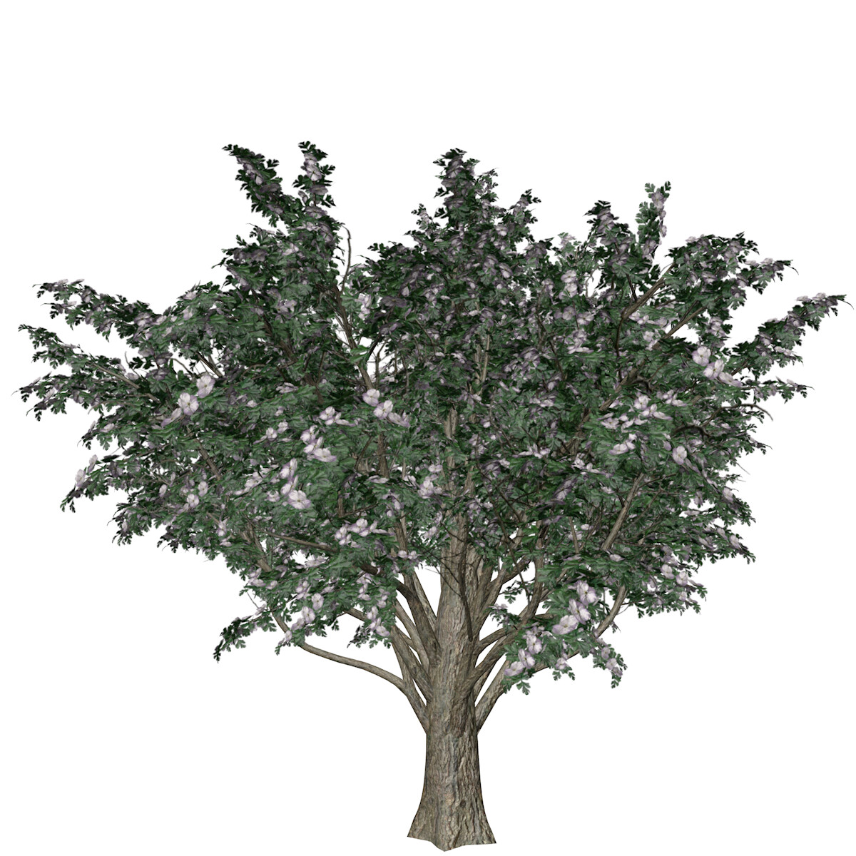 ArtStation - Common Hawthorn #02 - High Poly Tree (3D Model) | Game Assets