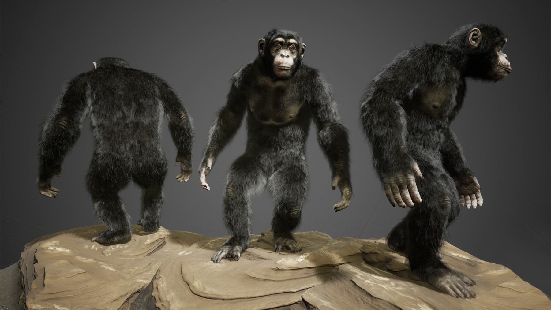 ArtStation - The Chimpanzee - Unreal Engine | Game Assets