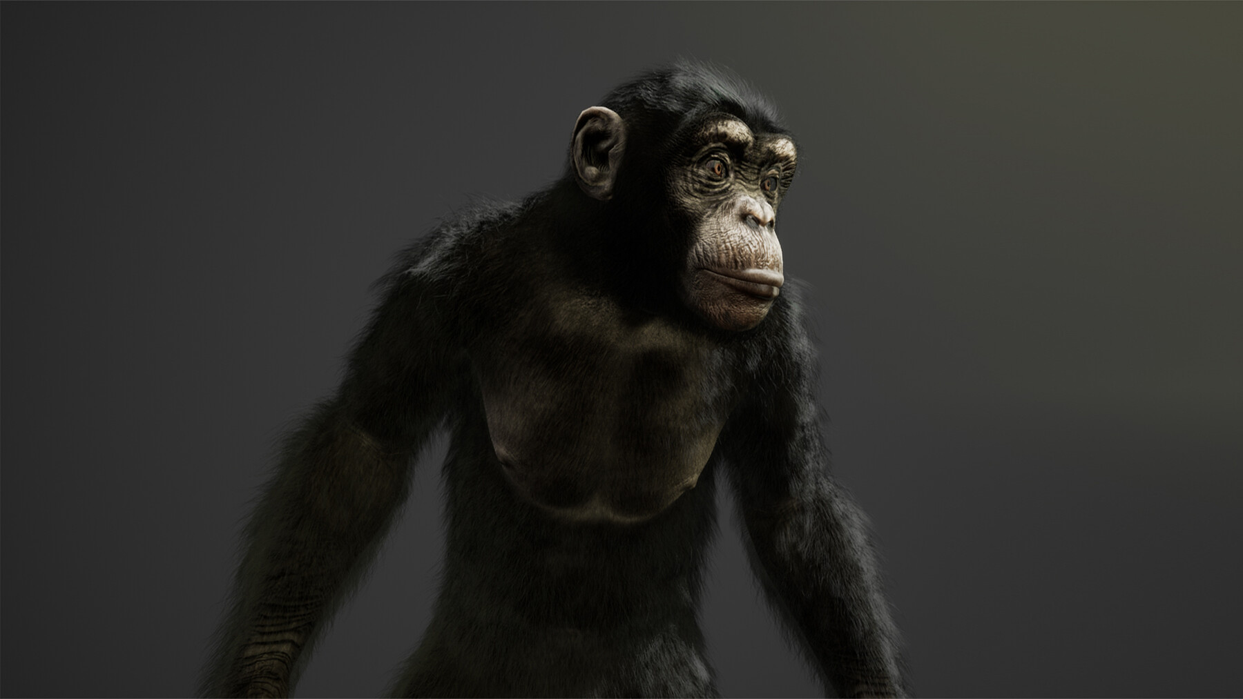 ArtStation - The Chimpanzee - Unreal Engine | Game Assets