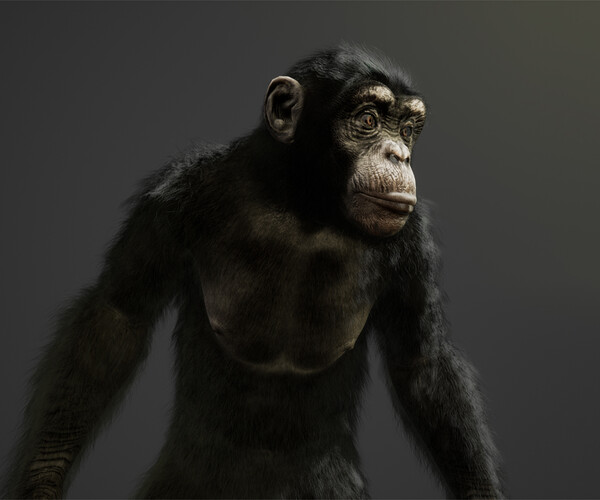 ArtStation - The Chimpanzee - Unreal Engine | Game Assets