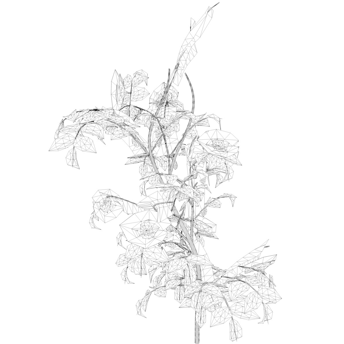 ArtStation - Dog Rose Flower #07 - High Poly Plant (3D Model) | Game Assets