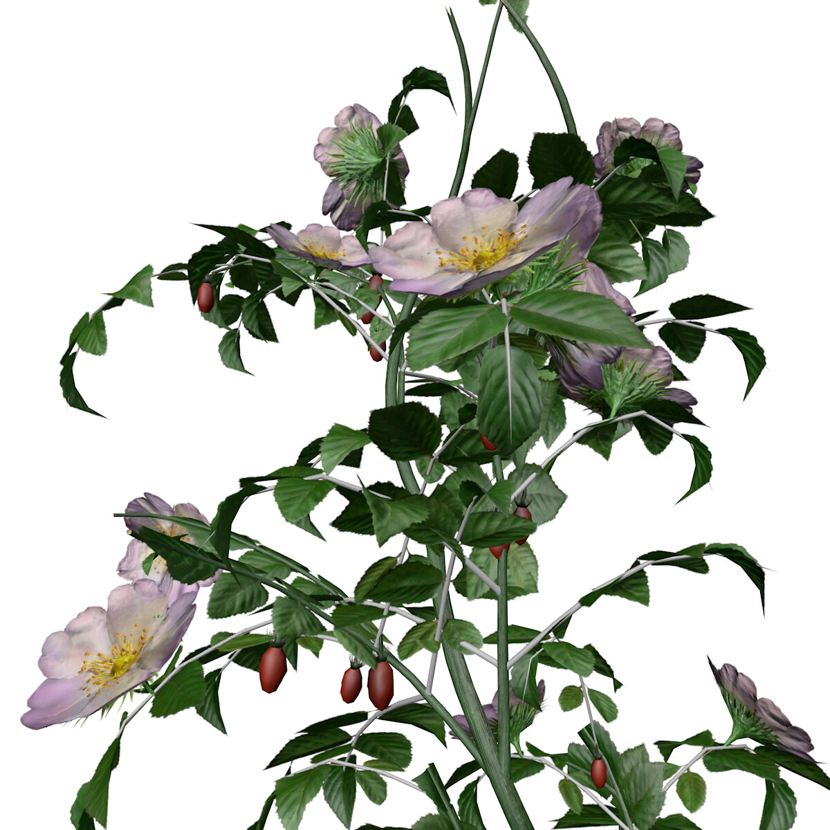 ArtStation - Dog Rose Flower #07 - High Poly Plant (3D Model) | Game Assets