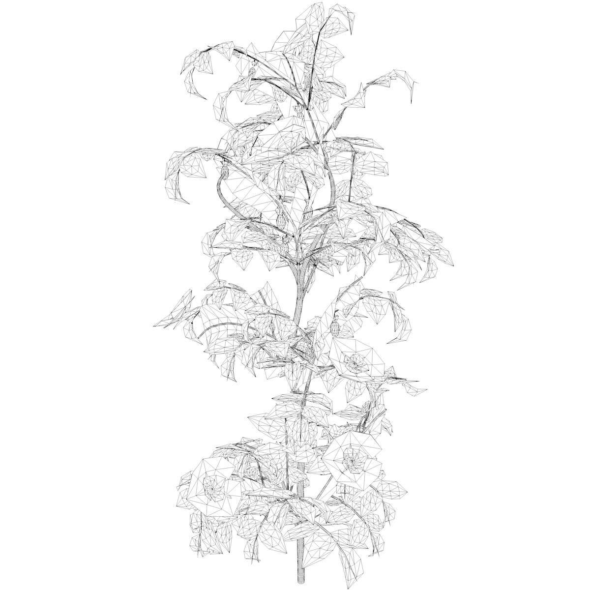 ArtStation - Dog Rose Flower #10 - High Poly Plant (3D Model) | Game Assets