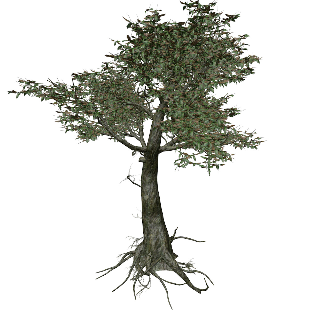 ArtStation - Kingsville Boxwood #05 - High Poly Tree (3D Model) | Game ...