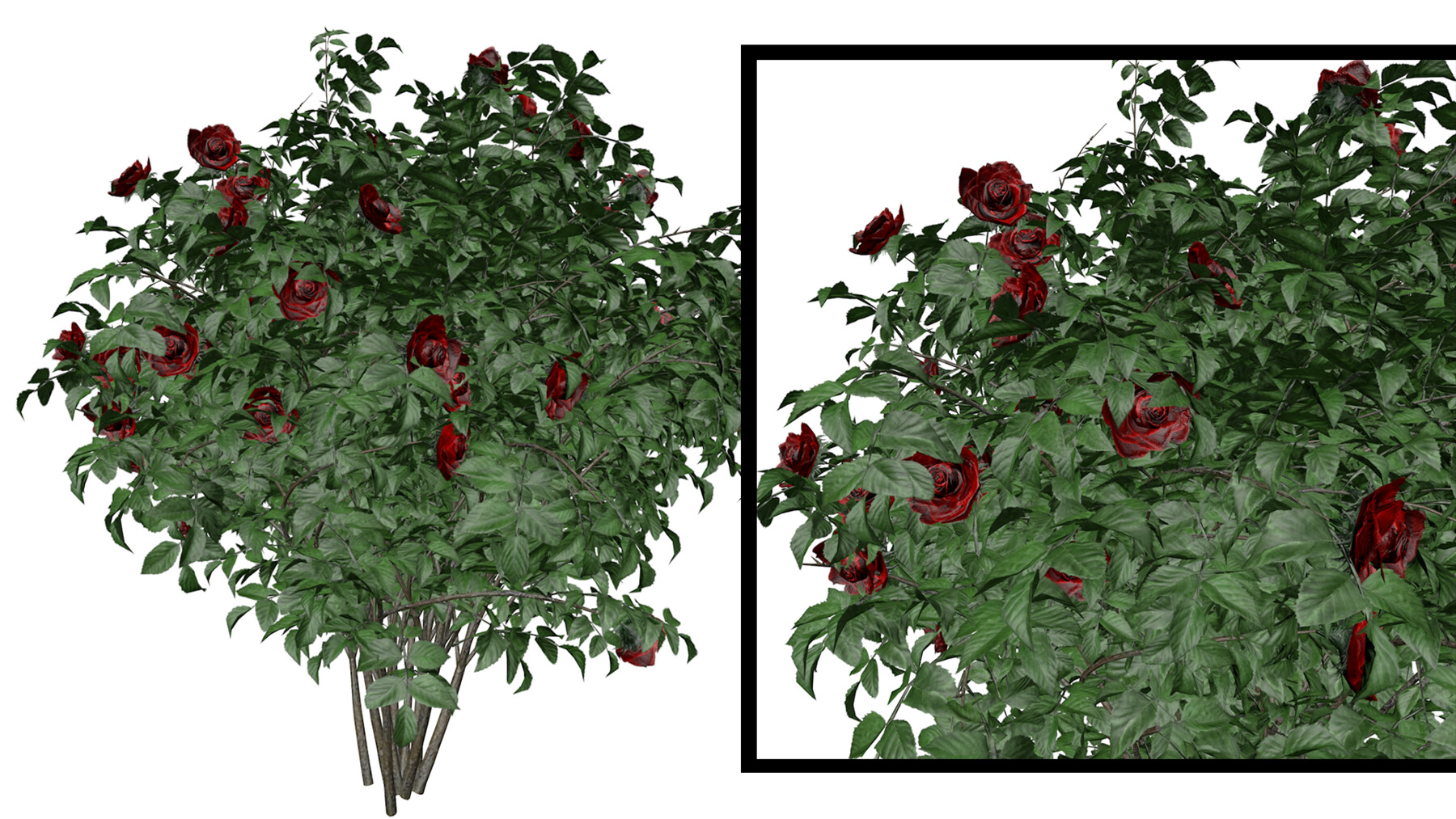 ArtStation - Red Rose Bush #02 - High Poly Plant (3D Model) | Game Assets