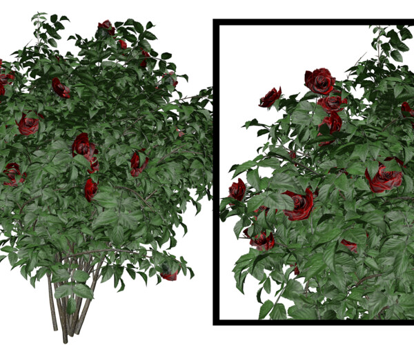 ArtStation - Red Rose Bush #02 - High Poly Plant (3D Model) | Game Assets
