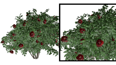 ArtStation - Red Rose Bush #03 - High Poly Plant (3D Model) | Game Assets