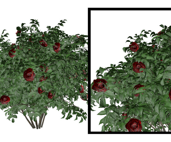 ArtStation - Red Rose Bush #03 - High Poly Plant (3D Model) | Game Assets