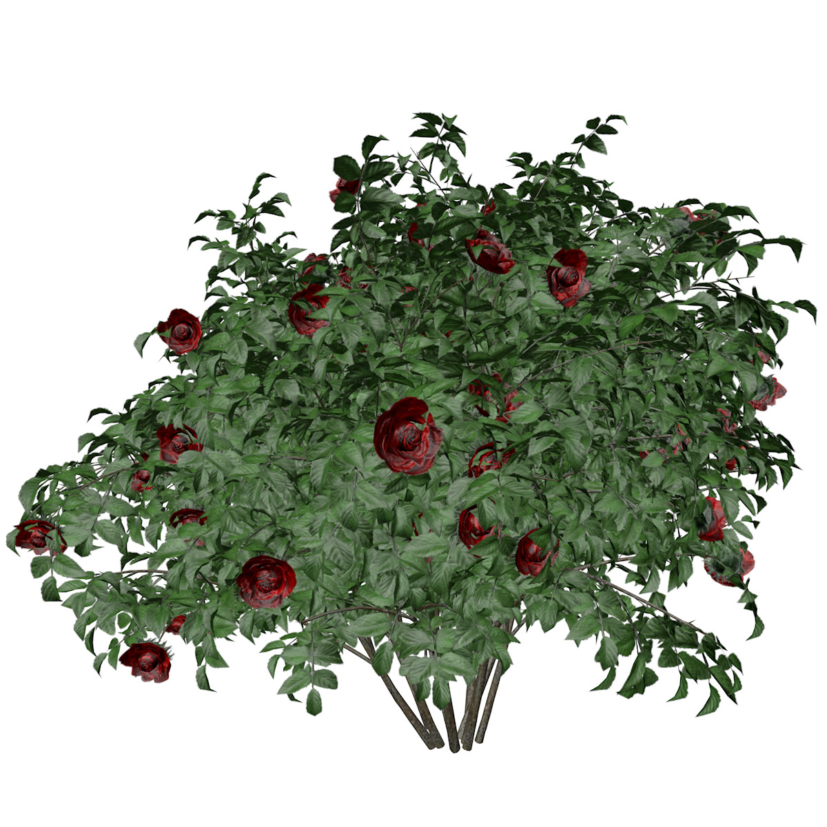 ArtStation - Red Rose Bush #03 - High Poly Plant (3D Model) | Game Assets