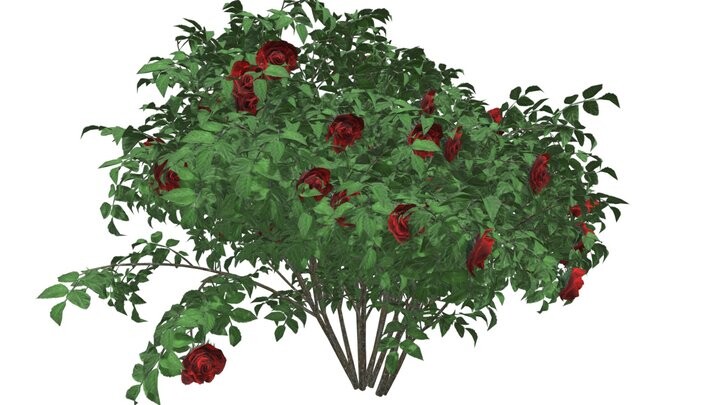 ArtStation - Red Rose Bush #04 - High Poly Plant (3D Model) | Game Assets