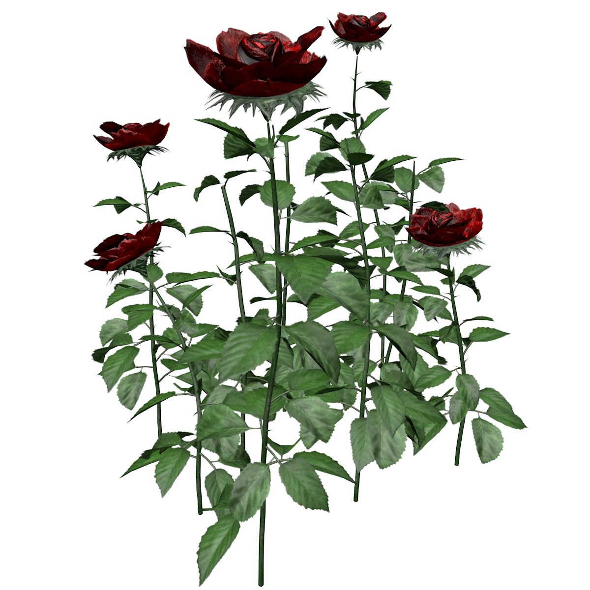 ArtStation - Red Rose Patch #03 - High Poly Plant (3D Model) | Game Assets