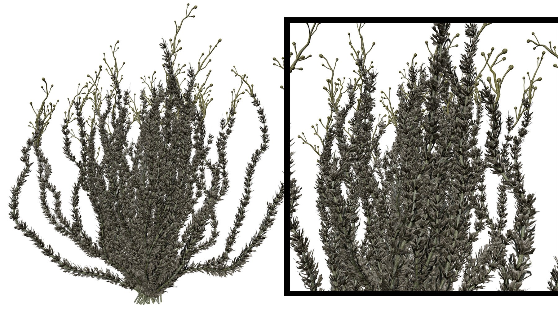 ArtStation - Sagebrush Bush #03 - High Poly Bush (3D Model) | Game Assets