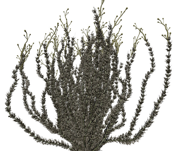 ArtStation - Sagebrush Bush #03 - High Poly Bush (3D Model) | Game Assets